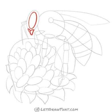 How to Draw a Bee - Simple Realistic Style