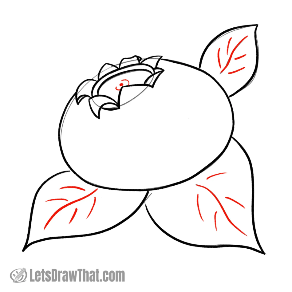 How to Draw a Blueberry - Easy Blueberry Drawing