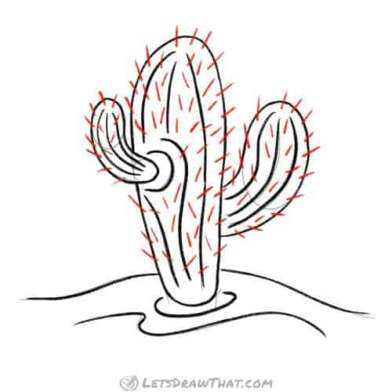 How to Draw a Cactus: Easy Step by Step Drawing