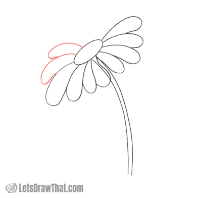 How to Draw a Daisy From Easy Simple Shapes