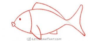 How to Draw a Fish Using Simple Shapes