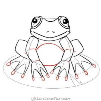 How to Draw a Frog - Easy Step by Step Drawing
