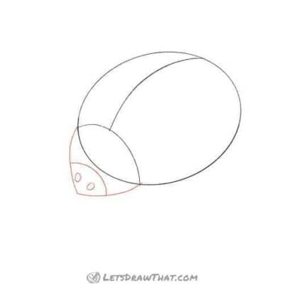 How to Draw a Ladybug - Cute Realistic Style