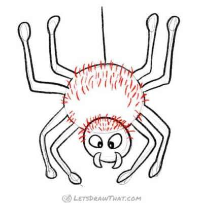 How to Draw a Spider – Simple Cartoon Style